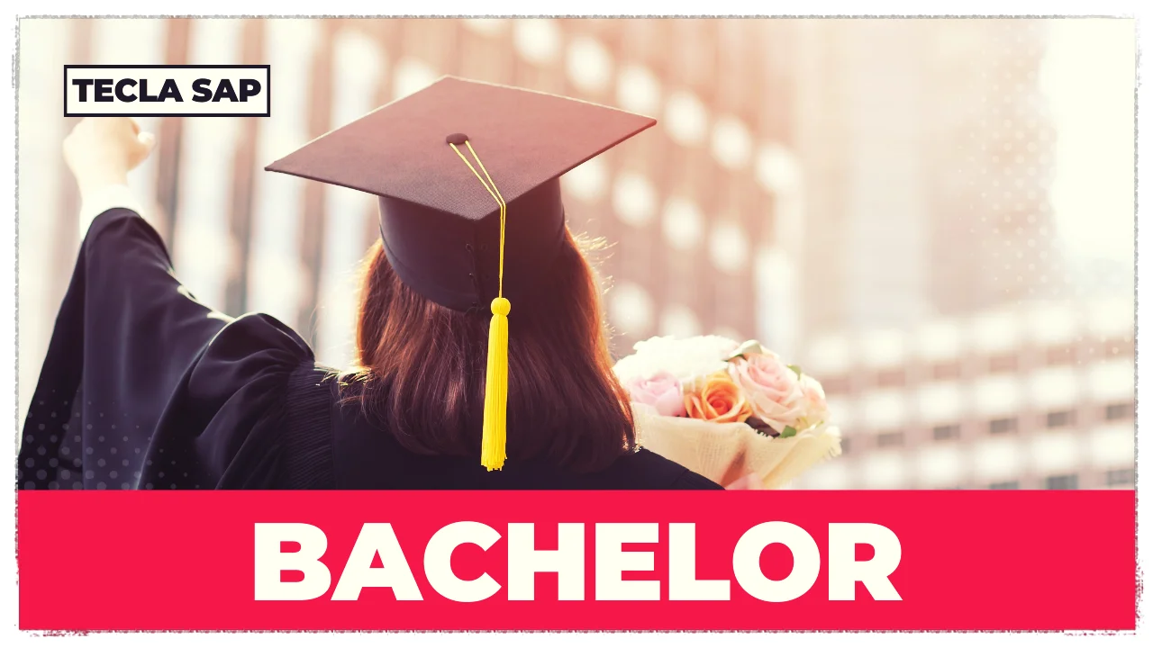 BACHELOR? Qual é o significado e a tradução de BACHELOR?