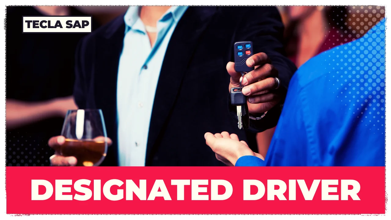 DESIGNATED DRIVER? Qual é o significado e a tradução?