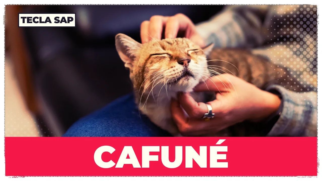 Cafuné? Existe equivalente a "cafuné" em inglês?