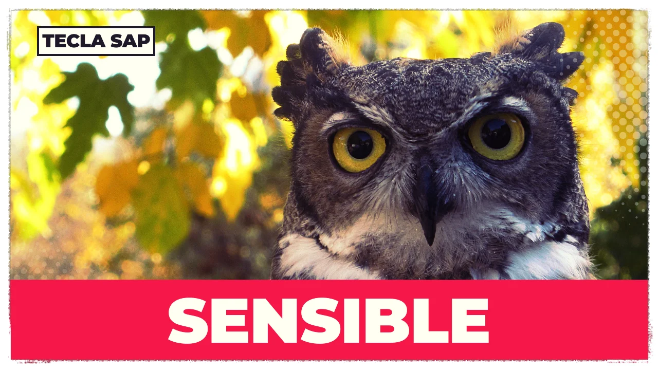 SENSIBLE? Qual é a tradução do falso cognato?