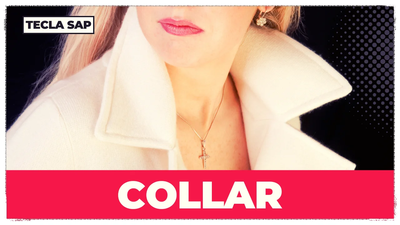 COLLAR? Qual é o significado e a tradução de "COLLAR"?
