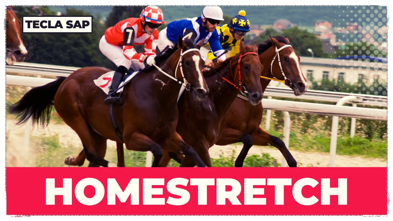 HOMESTRETCH? O que "IN THE HOMESTRETCH" significa?