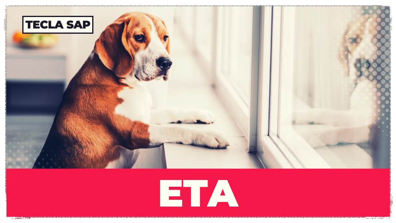 ETA? Qual é o significado e a tradução da abreviação "ETA"?