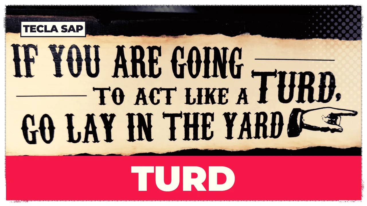 TURD? Qual é o significado e a pronúncia de TURD?