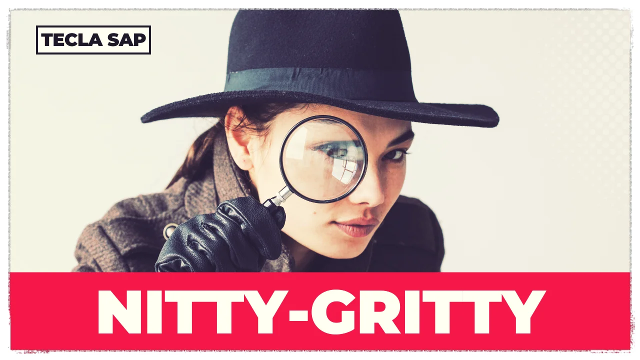 NITTY-GRITTY? Qual é o significado e a tradução da expressão?
