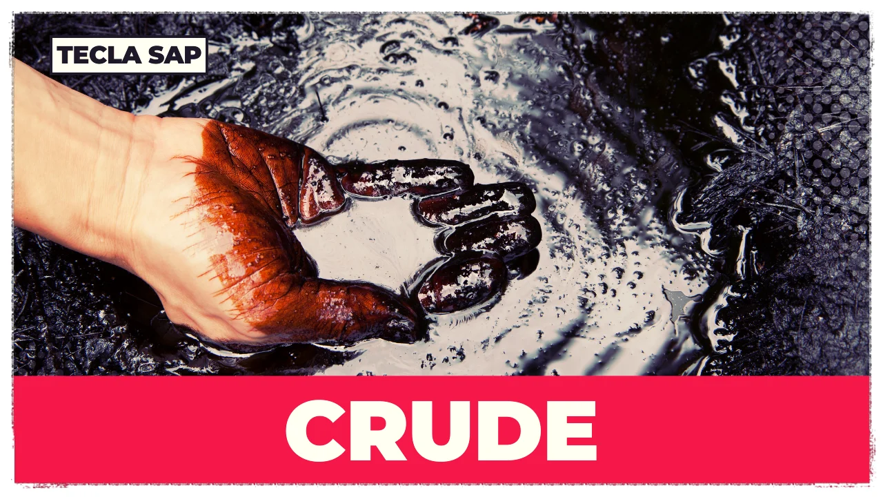 CRUDE? Qual é o significado e a tradução da palavra?
