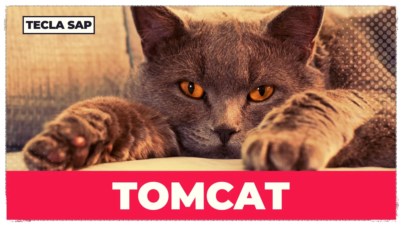 TOMCAT? Qual é o significado e a tradução dessa gíria?