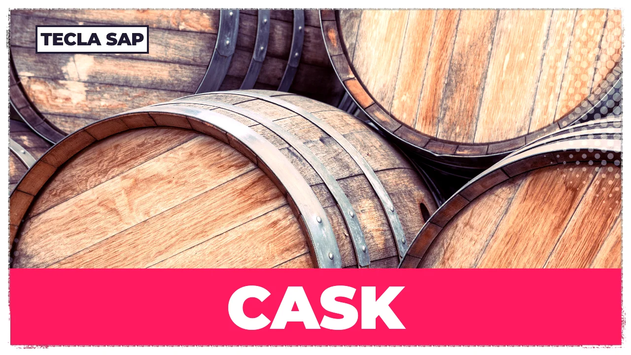 CASK? Qual é o significado e a tradução de "CASK"?