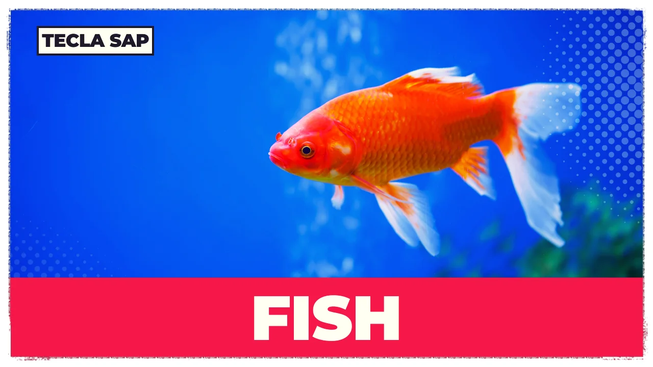 FISH - Lista de 17 expressões idiomáticas com "FISH"
