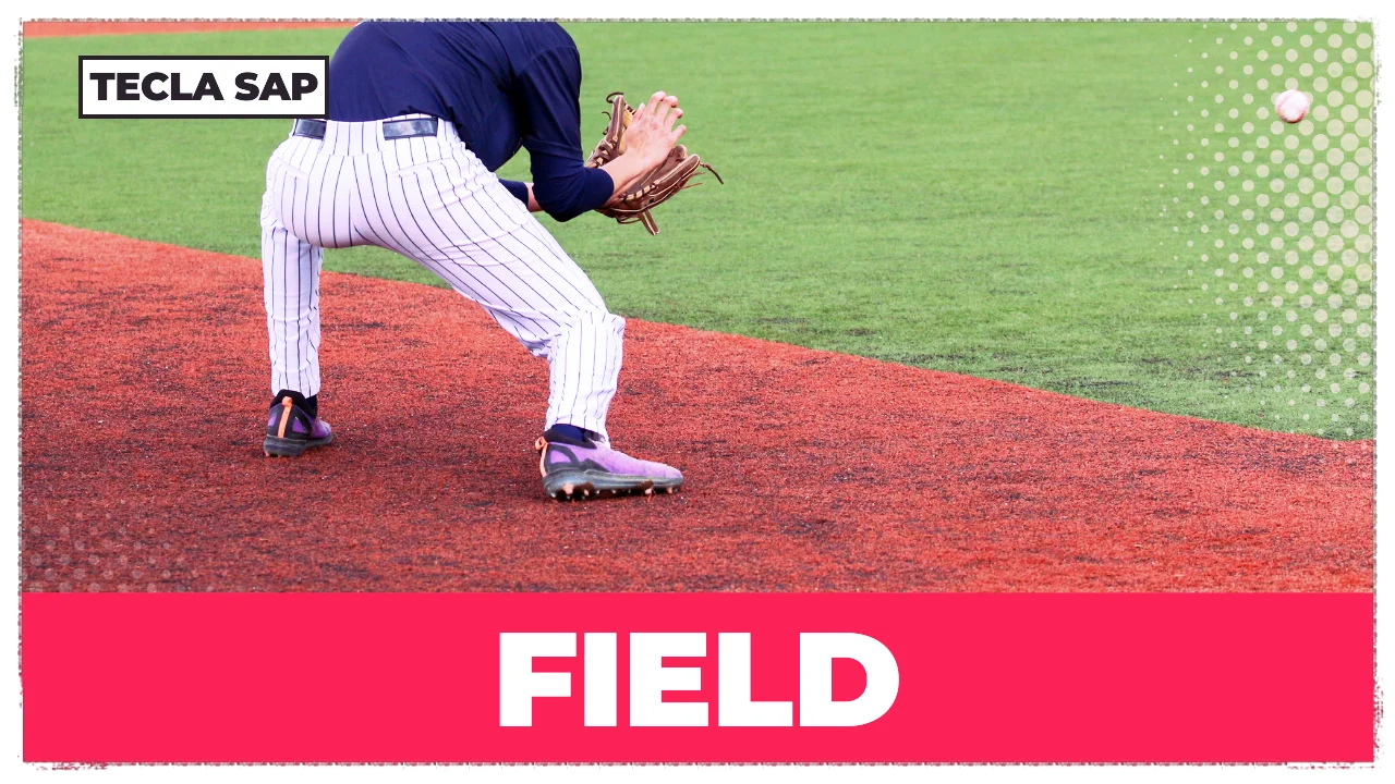 FIELD? Qual é o significado e a tradução do verbo "TO FIELD"?